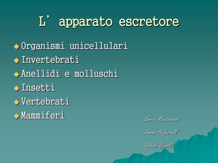 PPT - L’apparato escretore PowerPoint Presentation - ID:1302942 PPT - L’apparato escretore PowerPoint Presentation - ID:1302942