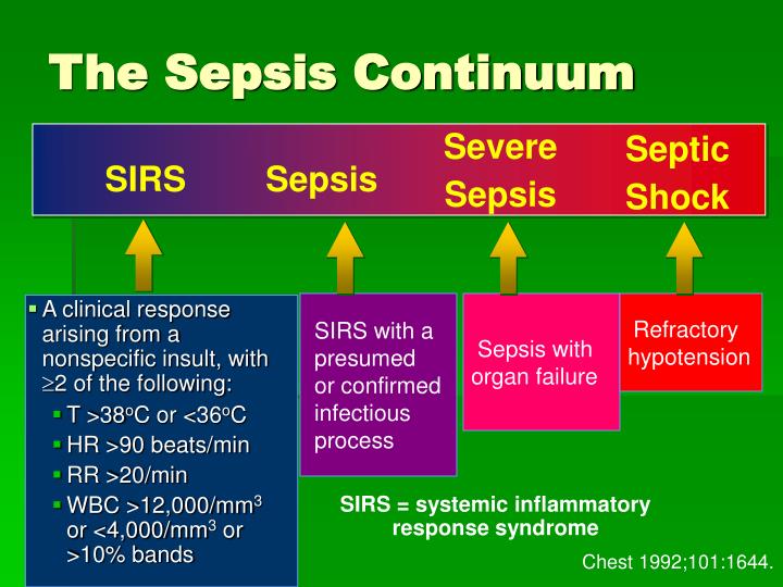Ppt Superbugs And Sepsis Powerpoint Presentation Id 1308941