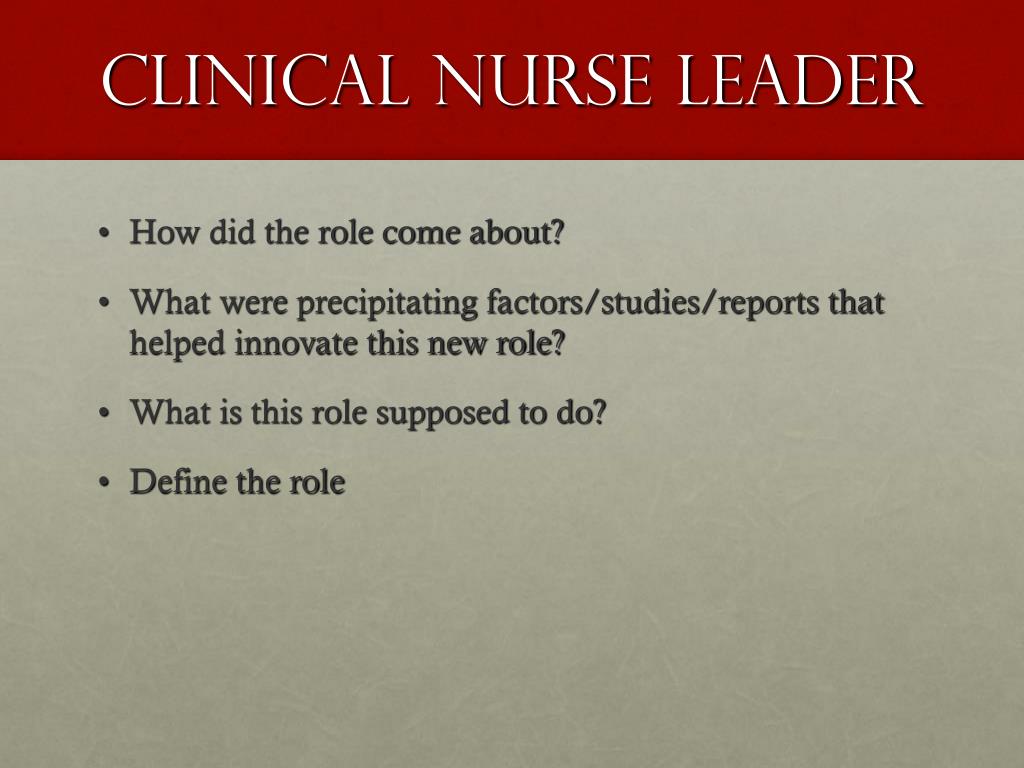 Ppt Clinical Nurse Leader Workshop Leadership Systems Powerpoint