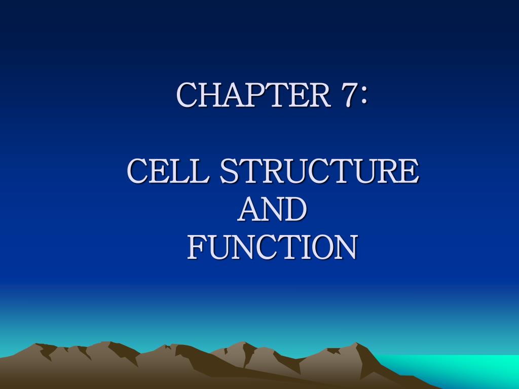 PPT CHAPTER 7 CELL STRUCTURE AND FUNCTION PowerPoint Presentation