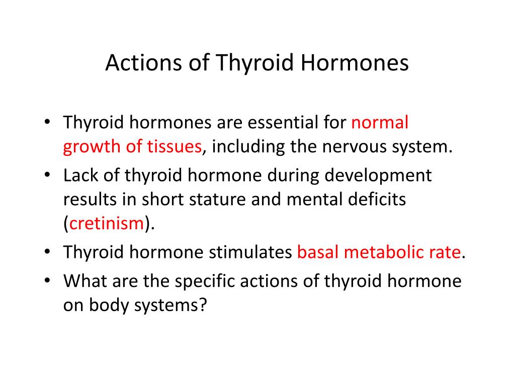 Ppt Production Regulation And Action Of Thyroid Hormones Powerpoint