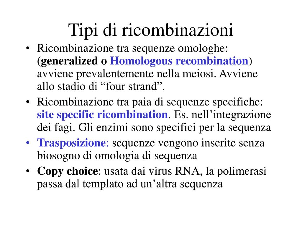 PPT - DNA: riparazione e ricombinazione PowerPoint Presentation - ID:428205 PPT - DNA: riparazione e ricombinazione PowerPoint Presentation - ID:428205