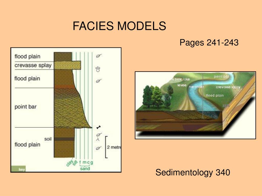 PPT - FACIES MODELS PowerPoint Presentation - ID:501257 PPT - FACIES MODELS PowerPoint Presentation - ID:501257
