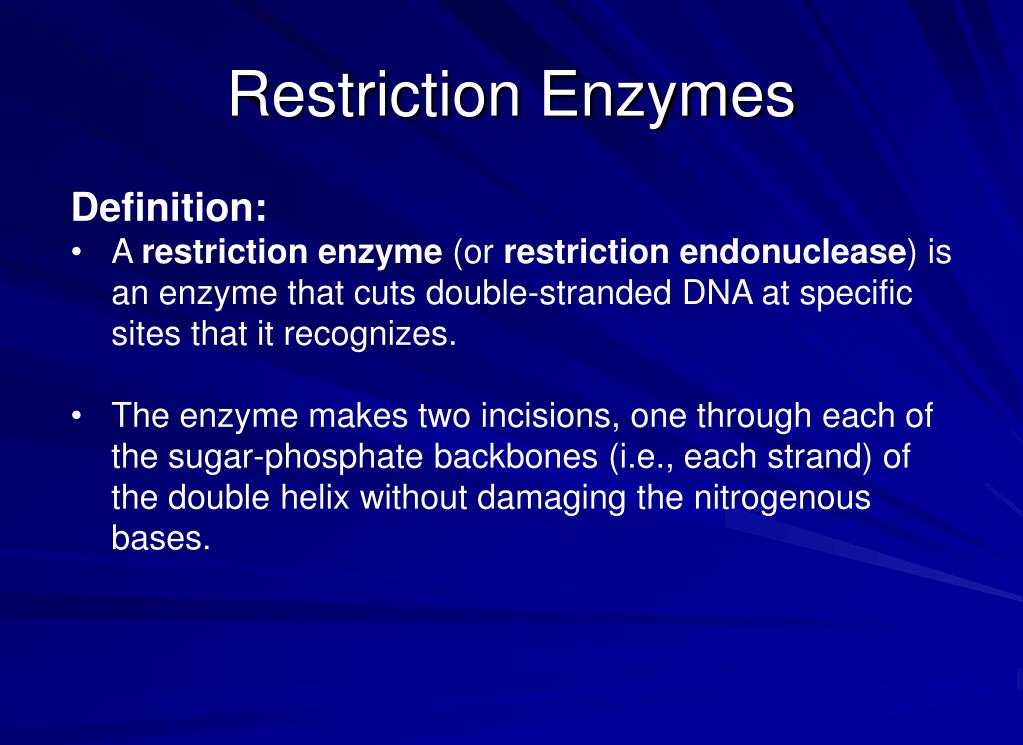 Ppt Restriction Enzyme Digestion And Southern Blotting Of Dna