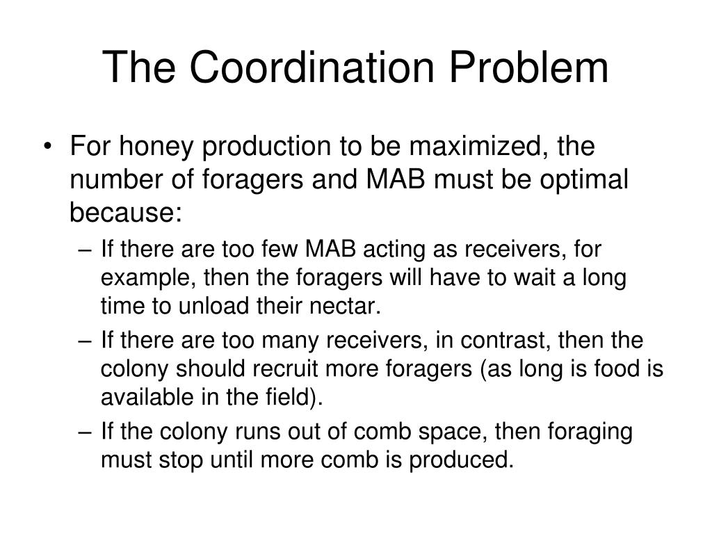 Ppt How An Insect Colony Works Powerpoint Presentation Id 757980