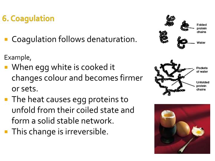 PPT - Food Biotechnology Dr. Kamal E. M. Elkahlout Food Biochemistry 3 ...