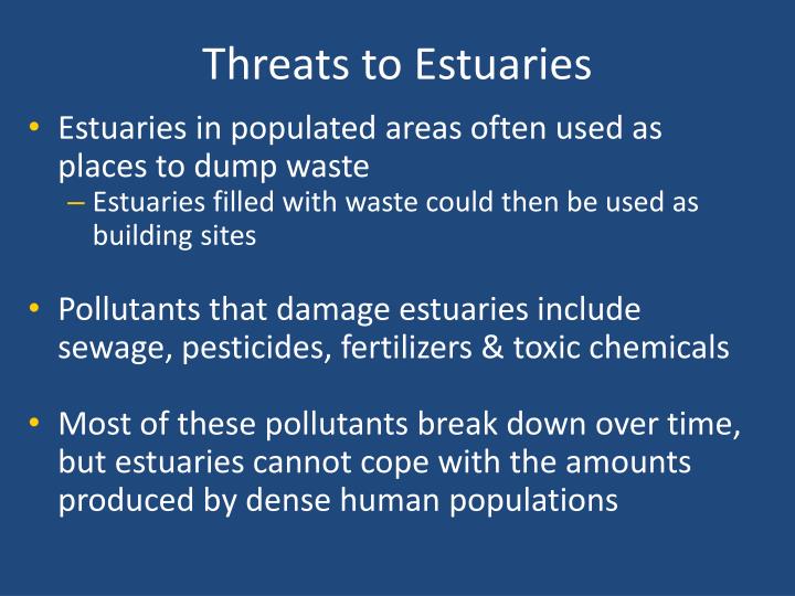 PPT - Chapter 7: Aquatic Ecosystems PowerPoint Presentation - ID:1001866