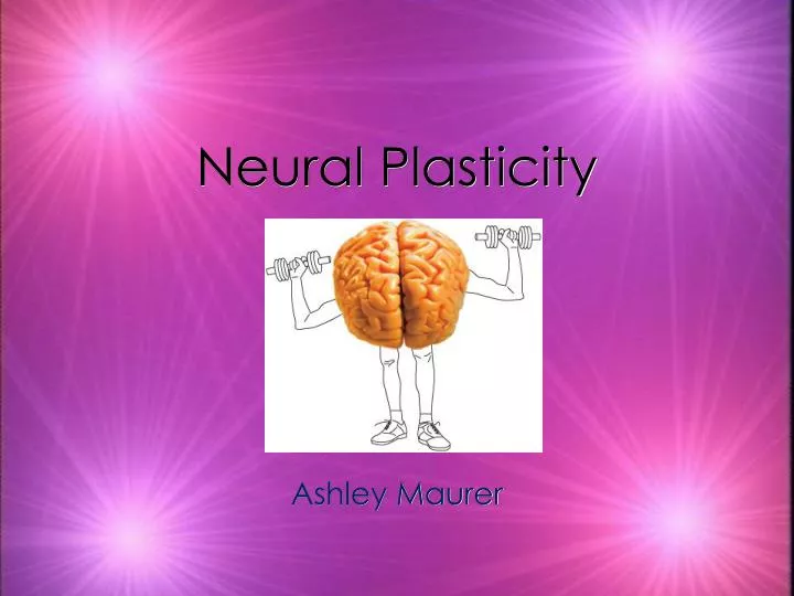 PPT - Neural Plasticity PowerPoint Presentation, free download - ID:1002246