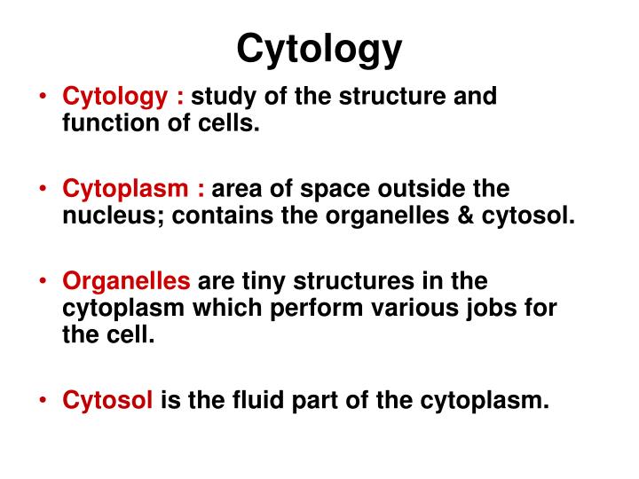 PPT - Cytology PowerPoint Presentation - ID:1002887