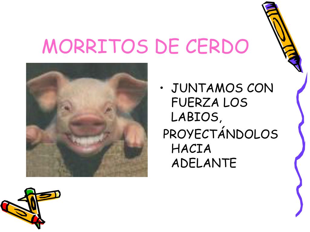 PPT - ACTIVIDADES PARA LA RELAJACIÓN ESPECÍFICA DE LOS ÓRGANOS ...