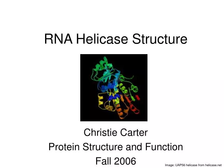 PPT - RNA Helicase Structure PowerPoint Presentation, free download ...