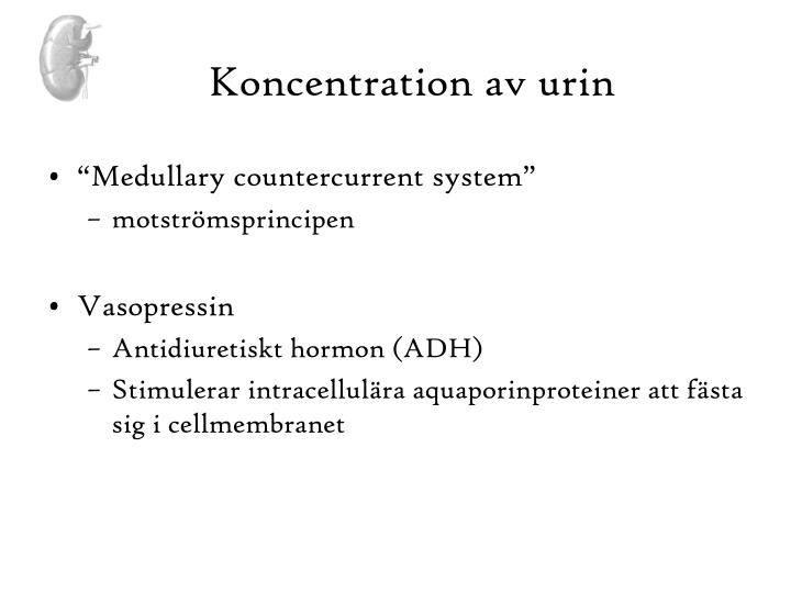 PPT - Njurfysiologi och behandling av njursvikt PowerPoint Presentation ...
