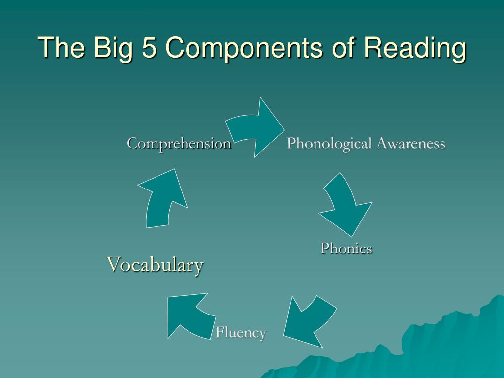 PPT - The BIG FIVE Components of Reading Vocabulary Development ... PPT - The BIG FIVE Components of Reading Vocabulary Development ...