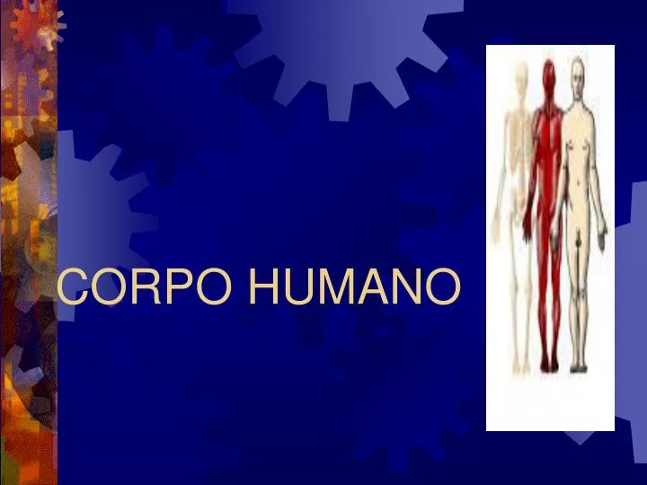PPT - CORPO HUMANO PowerPoint Presentation, free download - ID:1007171