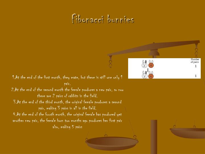PPT - Fibonacci PowerPoint Presentation - ID:1008775