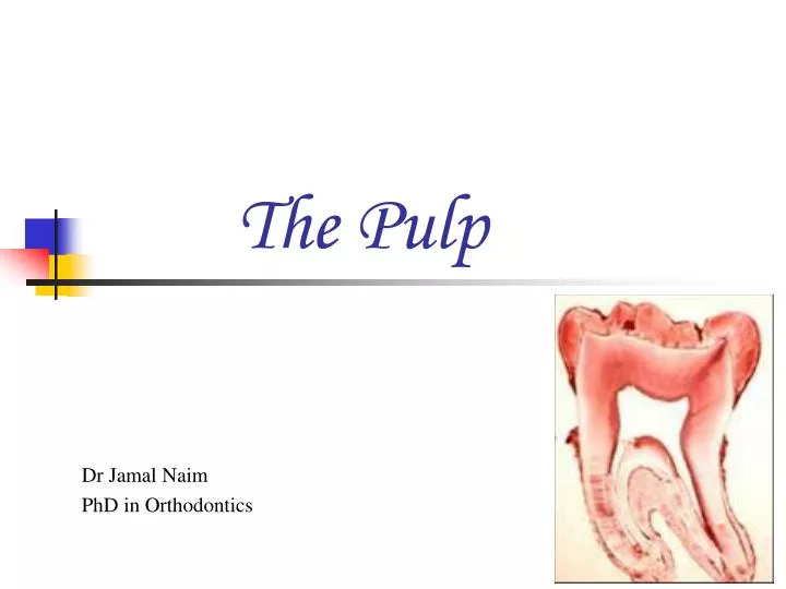 PPT - The Pulp PowerPoint Presentation, free download - ID:1010810