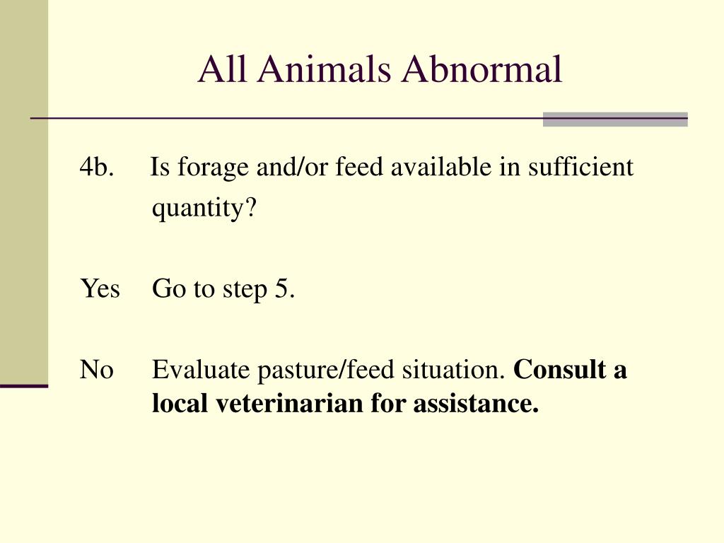 PPT - Large Animal Cruelty Investigation Training Animal Cruelty ...