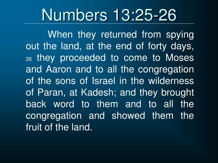 PPT - The Failure at Kadesh Numbers 11-14 PowerPoint Presentation - ID ...