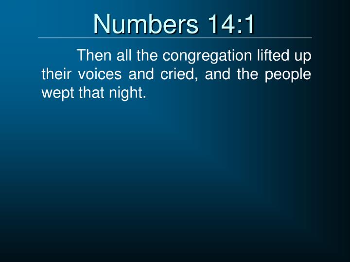 PPT - The Failure at Kadesh Numbers 11-14 PowerPoint Presentation - ID ...