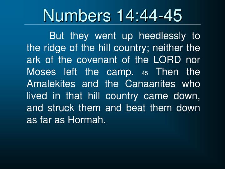 PPT - The Failure at Kadesh Numbers 11-14 PowerPoint Presentation - ID ...