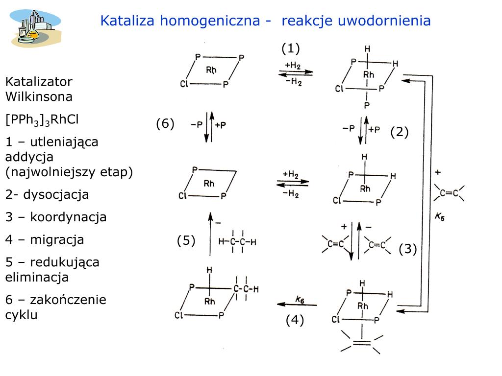 PPT - Kataliza homogeniczna oligomeryzacja PowerPoint Presentation ...
