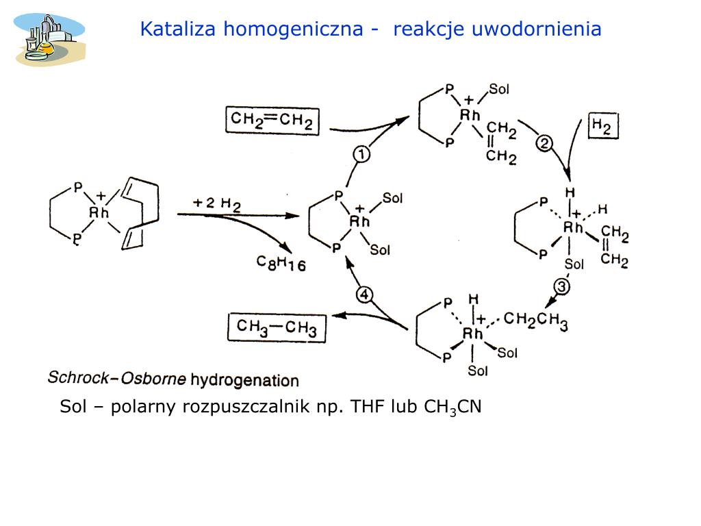 PPT - Kataliza homogeniczna oligomeryzacja PowerPoint Presentation ...