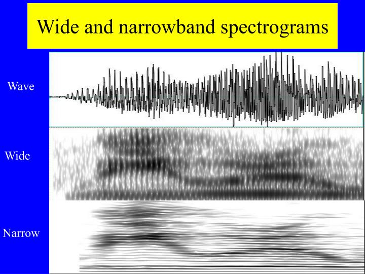 PPT - Adult Speech Perception PowerPoint Presentation - ID:101763
