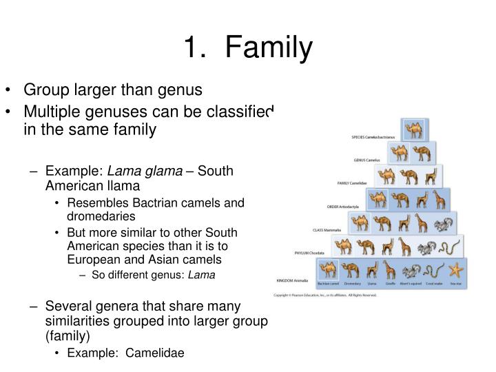 PPT - Chapter 18 PowerPoint Presentation - ID:1017708
