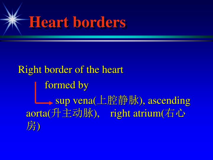 PPT - Percussion PowerPoint Presentation - ID:1018774