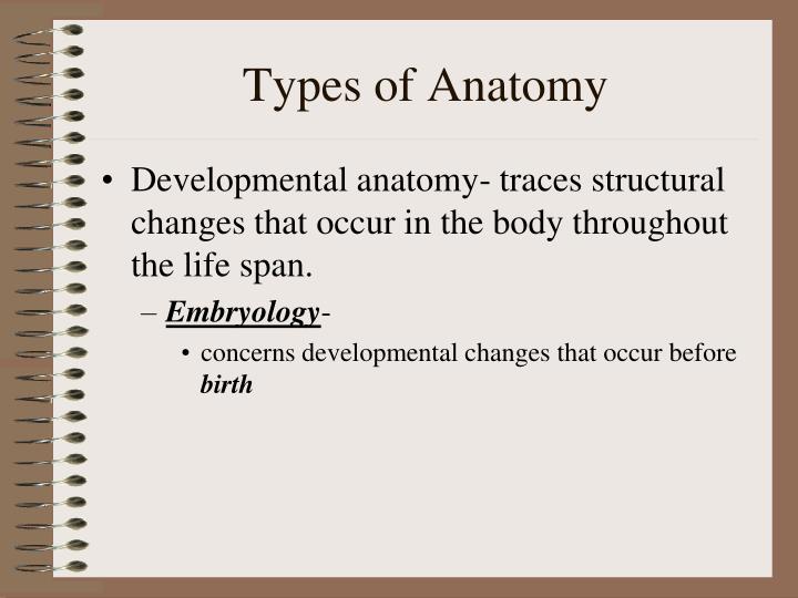 PPT - ANATOMY AND PHYSIOLOGY PowerPoint Presentation - ID:1018969
