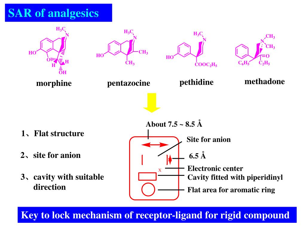 PPT - Chapter 2.5. Analgesics 镇痛药 PowerPoint Presentation, free ... PPT - Chapter 2.5. Analgesics 镇痛药 PowerPoint Presentation, free ...