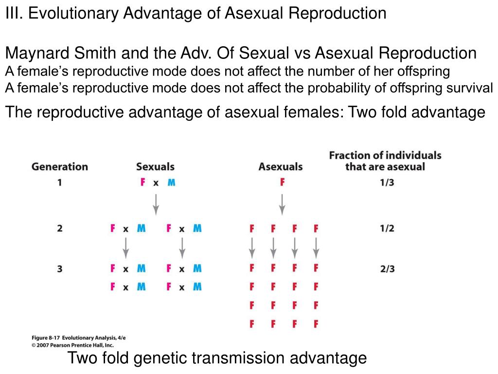 PPT - Evolution of Sex PowerPoint Presentation, free download - ID:1021704