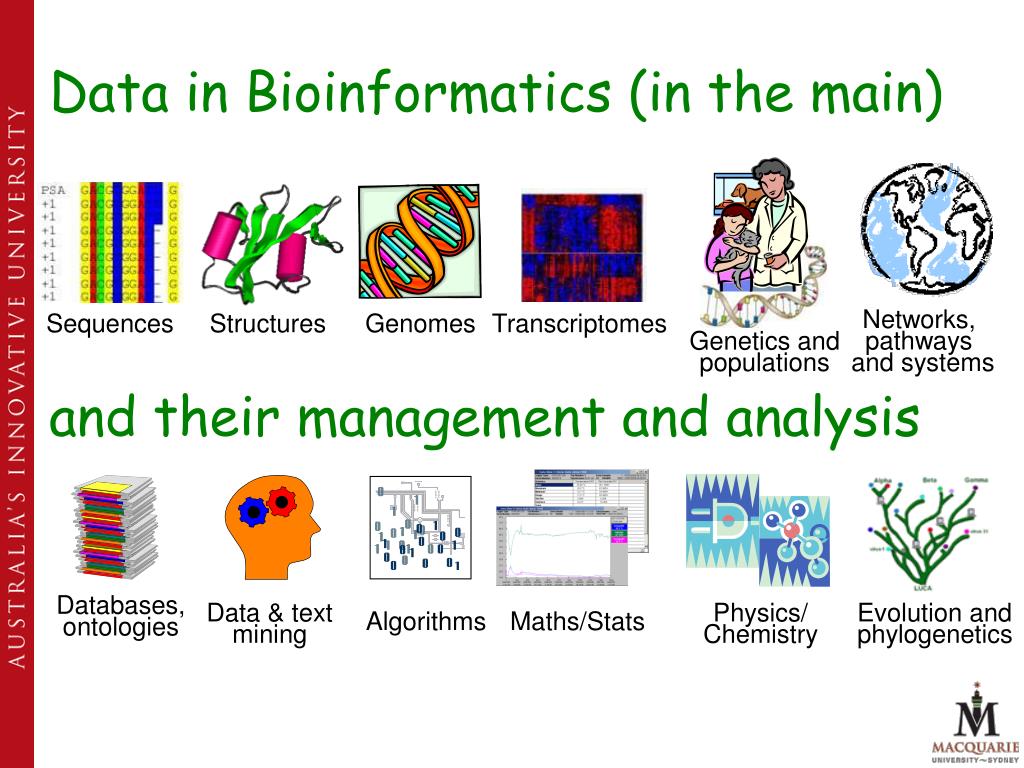 PPT - Structural Modelling and Bioinformatics in Drug Discovery and ... PPT - Structural Modelling and Bioinformatics in Drug Discovery and ...