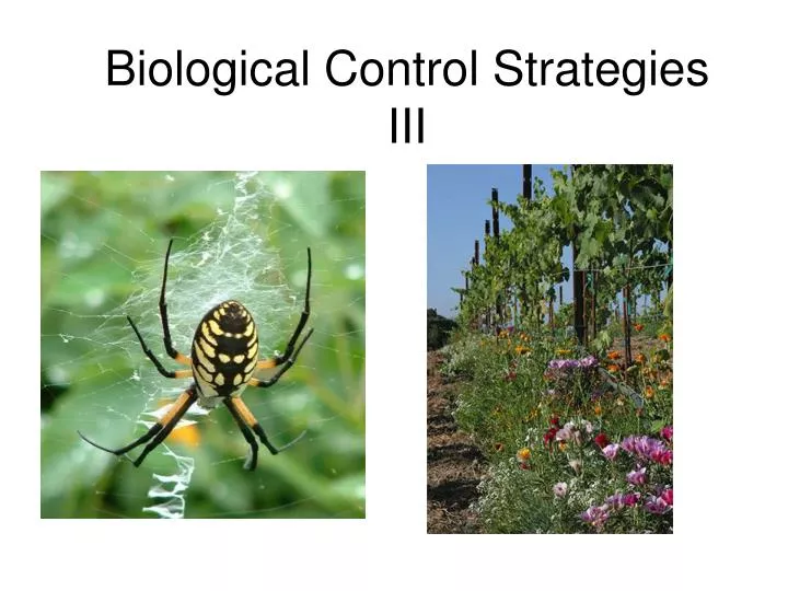 PPT - Biological Control Strategies III PowerPoint Presentation, free ...