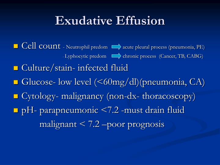 PPT - Pleural Effusion PowerPoint Presentation - ID:1023027