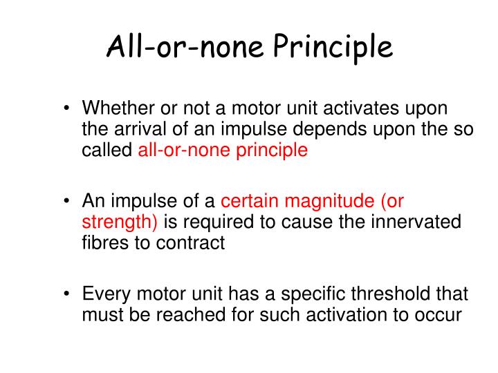 PPT - Nerve-Muscle Interaction PowerPoint Presentation - ID:1024052