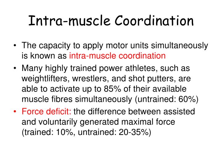 PPT - Nerve-Muscle Interaction PowerPoint Presentation - ID:1024052