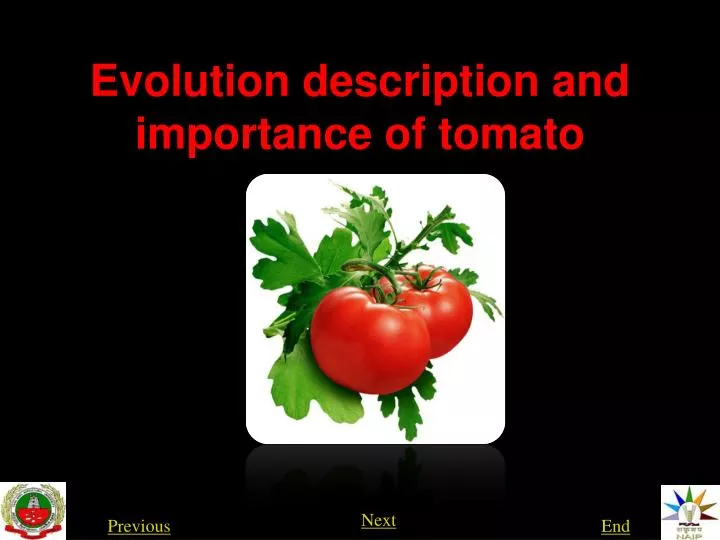 PPT - Evolution description and importance of tomato PowerPoint ...