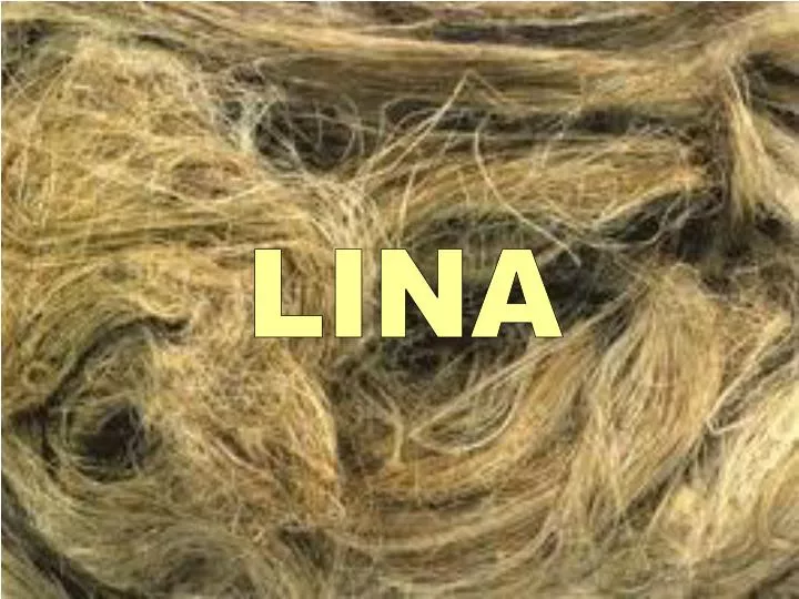 PPT - LINA PowerPoint Presentation, free download - ID:1027340