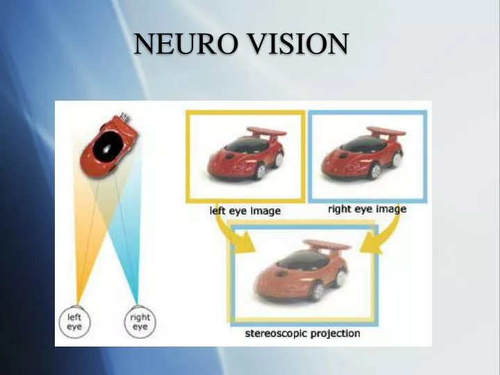 PPT - NEURO VISION PowerPoint Presentation, free download - ID:1028909
