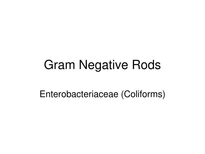 PPT - Gram Negative Rods PowerPoint Presentation, free download - ID ...