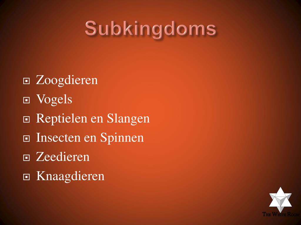 PPT - Themadag Amersfoort 13-12-2008 PowerPoint Presentation, free ...