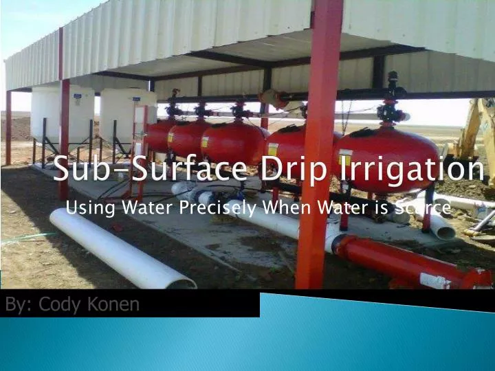 PPT - Sub-Surface Drip Irrigation PowerPoint Presentation, free ...