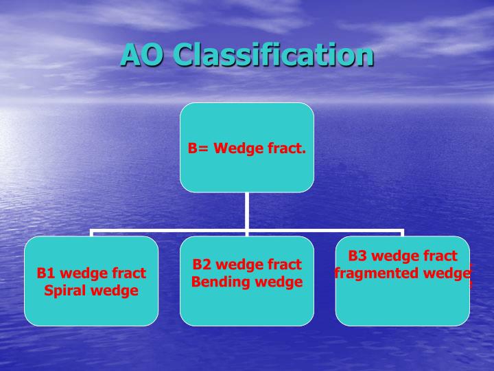 PPT - Principles of Fracture Treatment PowerPoint Presentation - ID:1030933