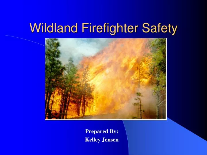 PPT - Wildland Firefighter Safety PowerPoint Presentation, free ...
