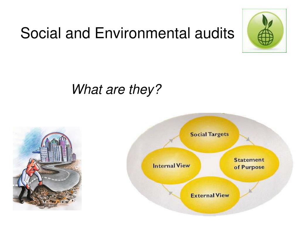 PPT - Businesses and the Social Environment PowerPoint Presentation ...