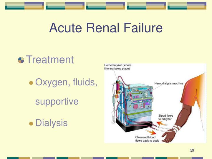 PPT - Abdominal Emergencies PowerPoint Presentation - ID:1032494