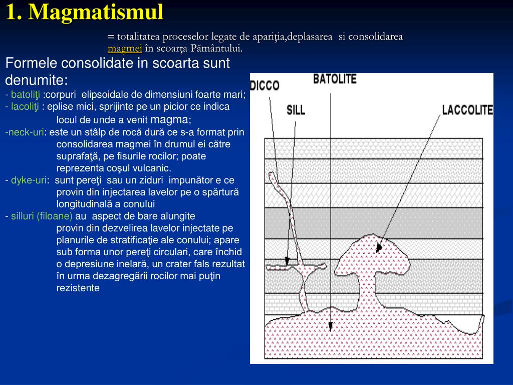 PPT - AGENTII INTERNI SI RELIEFUL CREAT de acestia PowerPoint ...