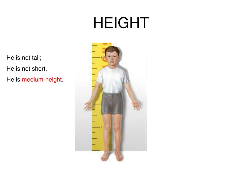 PPT - NEW BRIDGE TO SUCCESS GRADE 9 VOCABULARY UNIT 11 PowerPoint ...