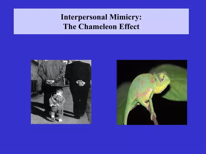 PPT - Interpersonal Mimicry: The Chameleon Effect PowerPoint Presentation - ID:103674